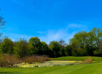 PAR-3 Baan | Rhoon Golfcenter